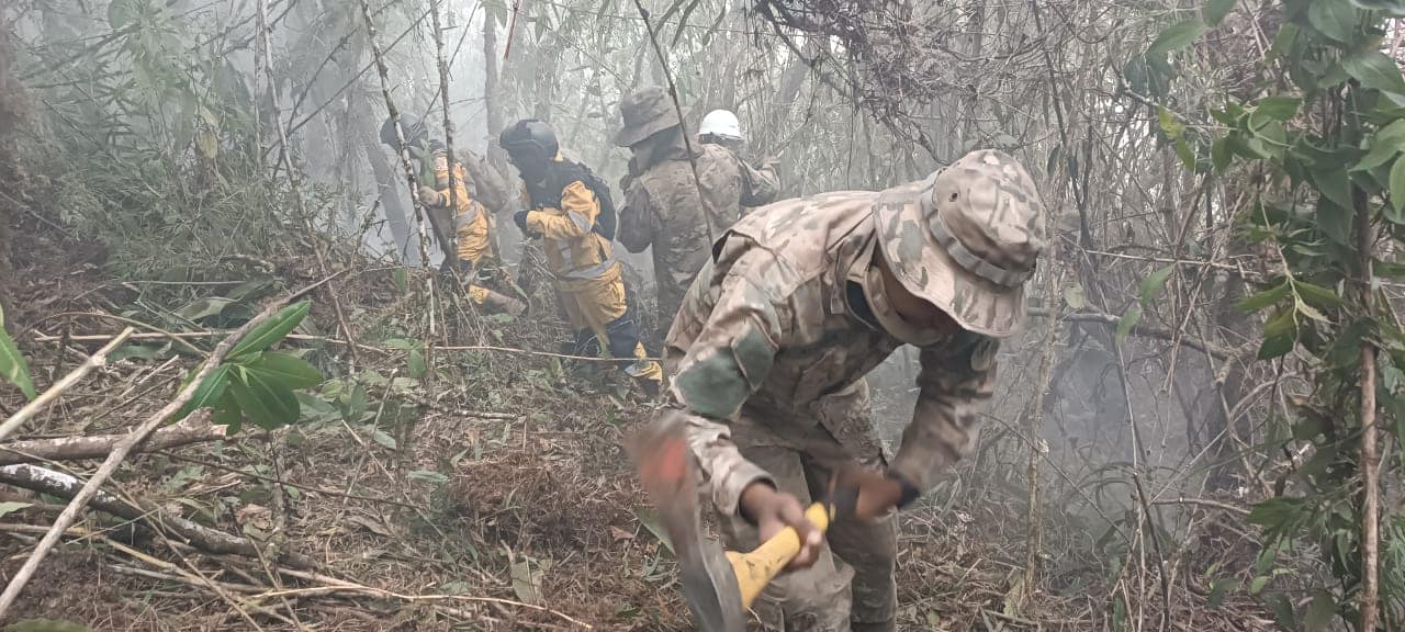 Defensa afirma que se controlaron los incendios “más intensos” en el ...