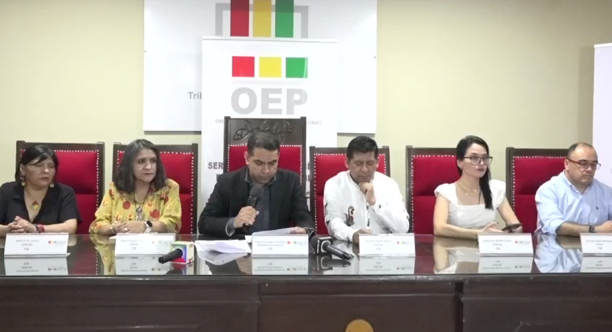 Sala Plena del TSE recibirá el informe del Sifde en 10 días y definirá ...