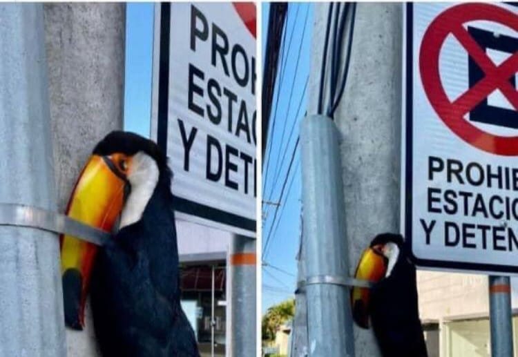 El Ministerio de Medio Ambiente pide formalmente investigar el caso de ...